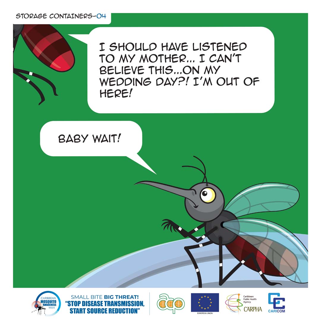 Caribbean Mosquito Awareness